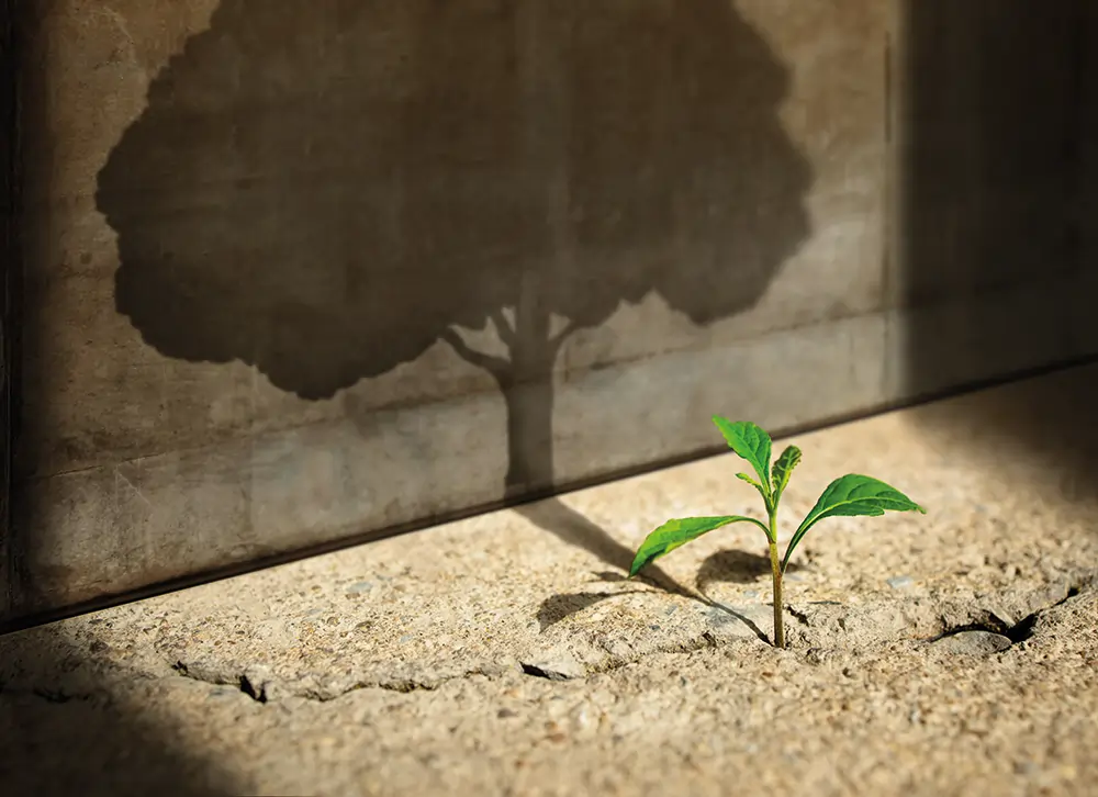 Addressing the scaleup gap - The European Magazine